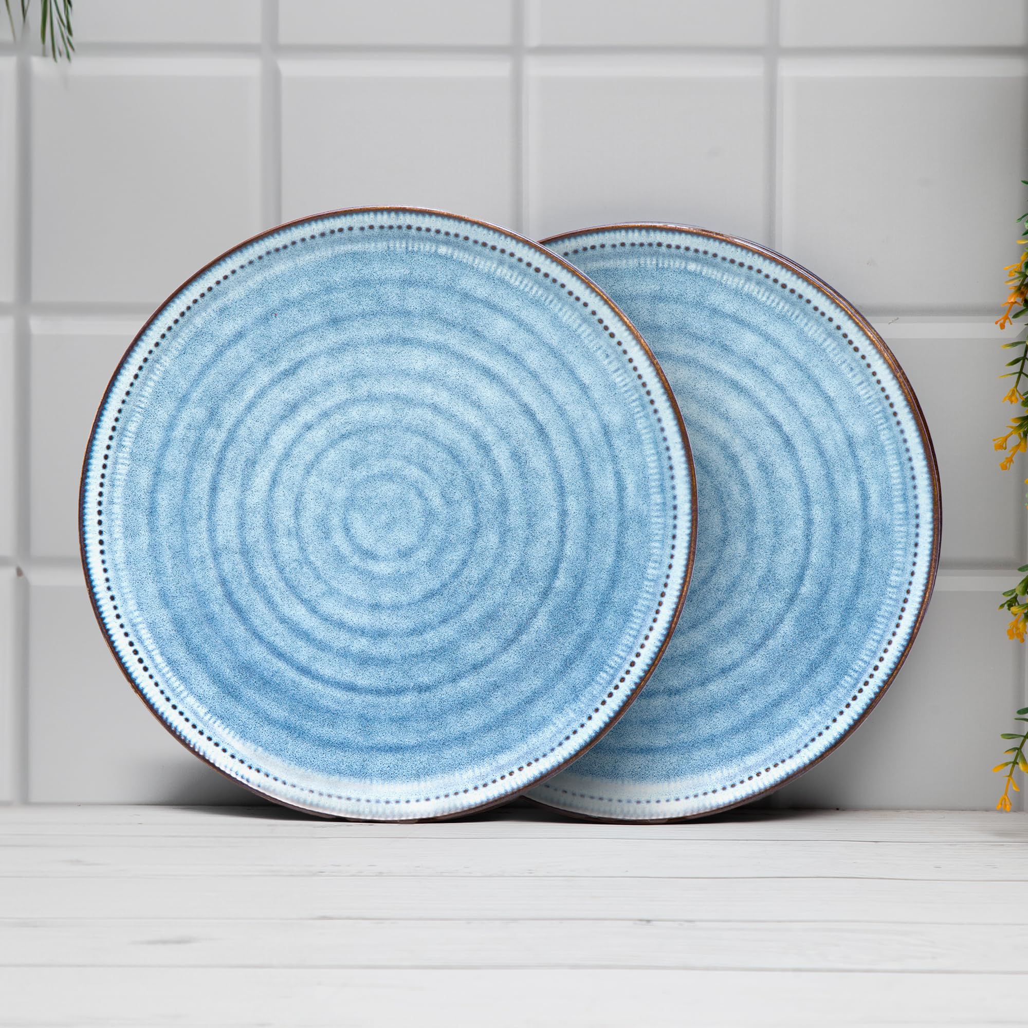Top 5 Dinner Plates to Add Style to Your Dining Table (Estimated readi ...