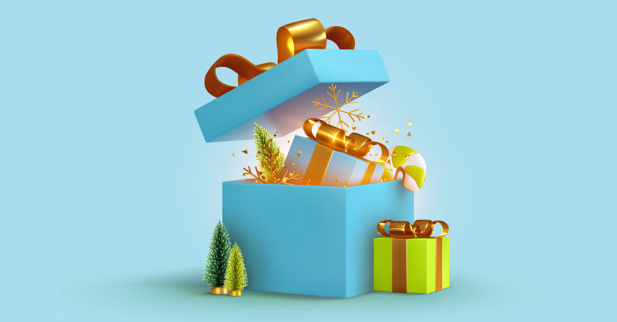 Season's Sustainable Gifting! – The Better Home