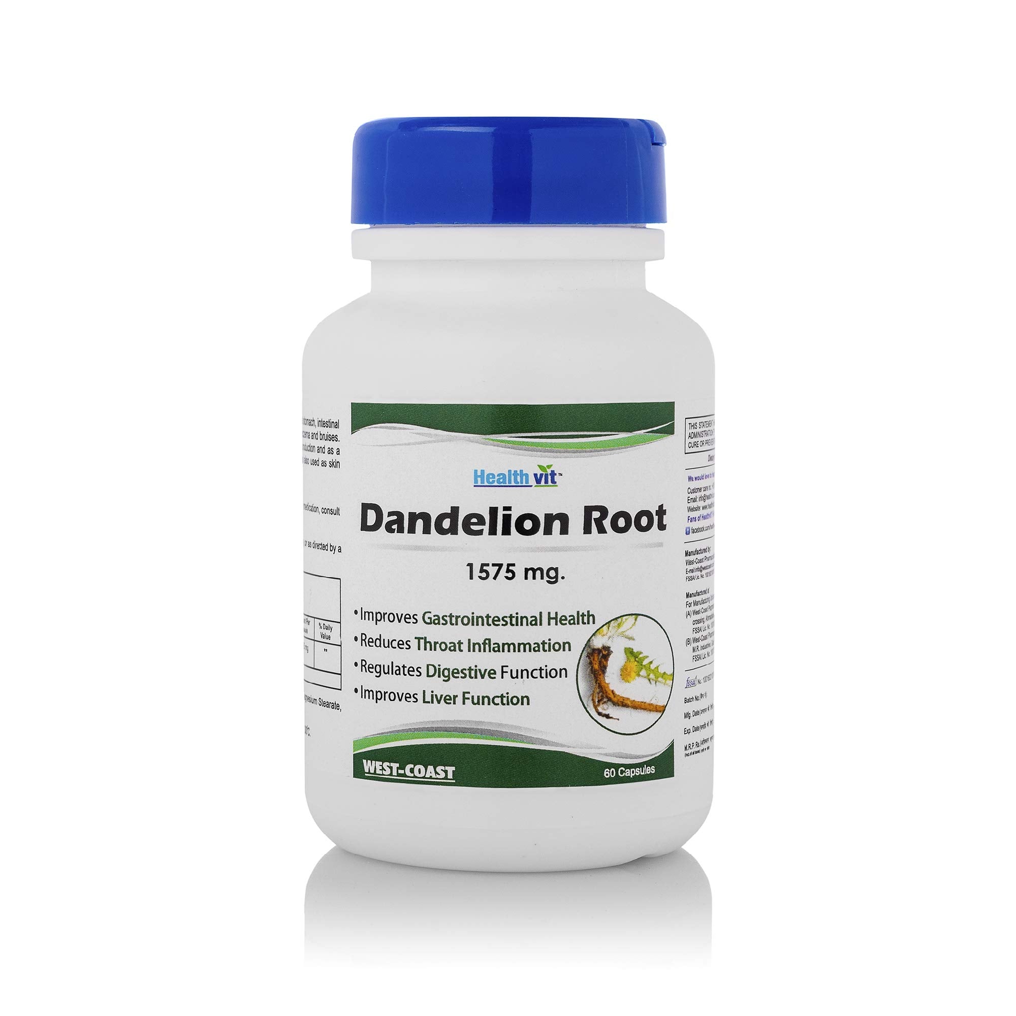 Buy Healthvit Dandelion Root Capsules - Improves Digestion – The Better ...