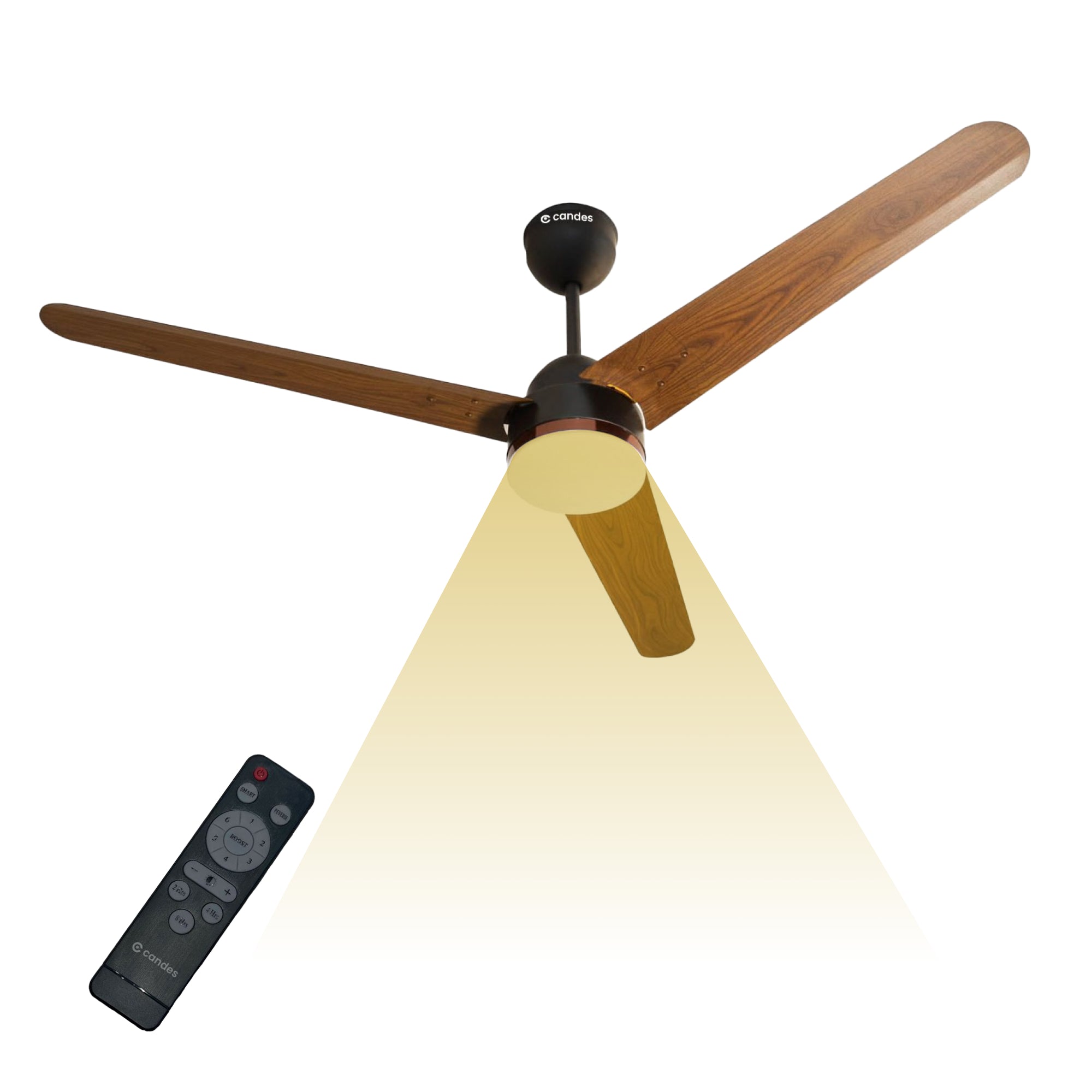 Buy Candes Celestia BLDC Ceiling Fan with LED Light | 1200mm – The ...